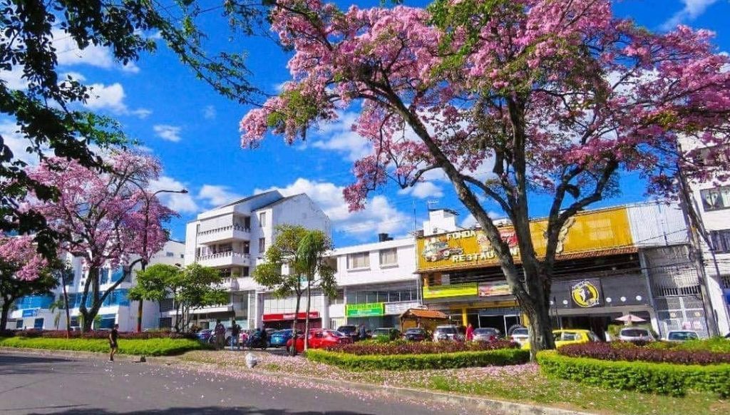 Los pasos para que Ibagué sea una ciudad inteligente | El Cronista ...