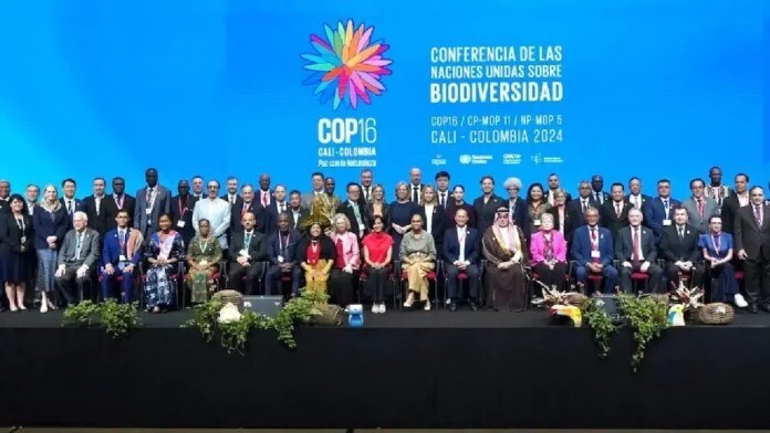 Conclusiones de la COP 16 en Colombia | El Cronista | Periodismo de ...