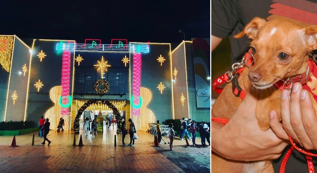 Destacan a Multicentro Ibagué por realizar show pirotécnico amigable ...