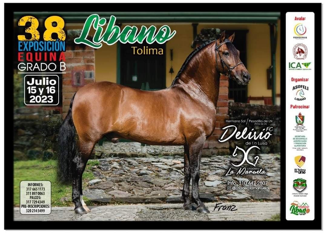 Prepárese para la 38 Feria de Exposición Equina en el Líbano, Tolima ...