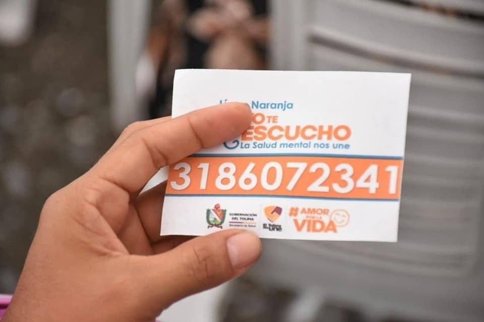 "Nunca la institucionalidad podrá abordar sola, la salud mental de las ...