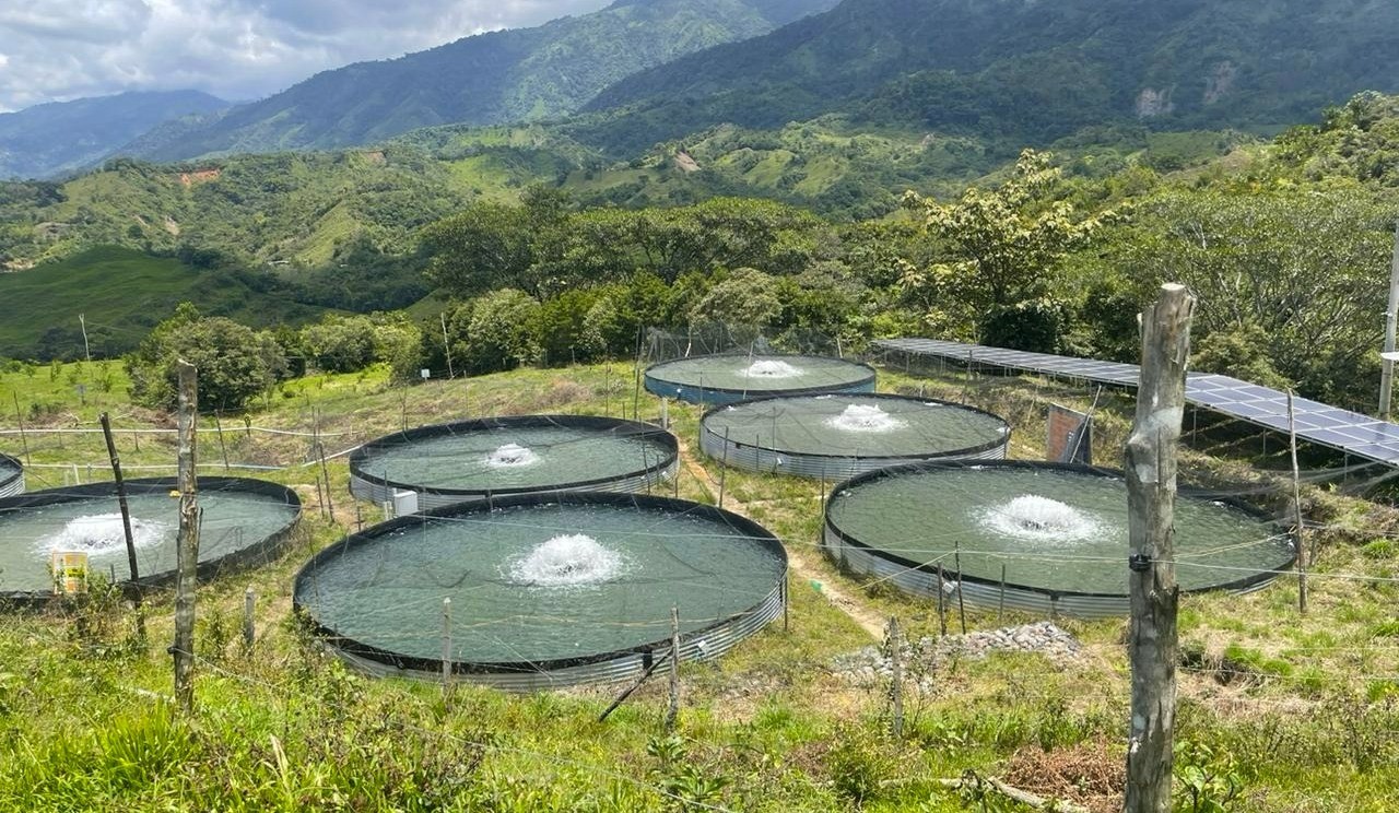 Productores de Chaparral y Lérida implementan tecnologías limpias en ...