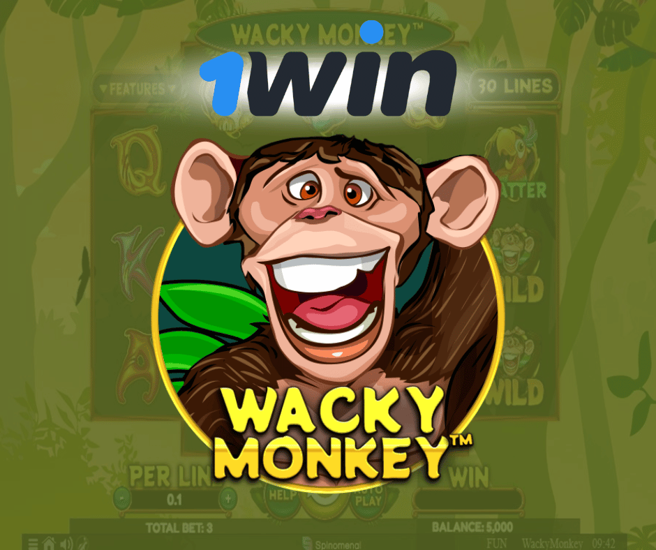 Descubre Wacky Monkey en 1Win Casino | El Cronista | Periodismo de ...